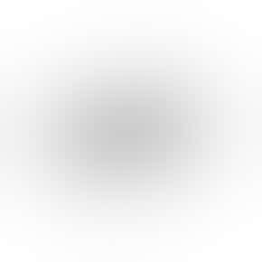 Appareils à Raclette